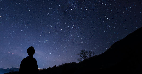 The Soul and Vedic Astrology: What is the Atmakaraka? - Northern Lights ...